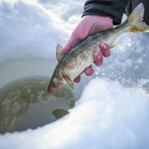 Fenwick World Class Ice Fishing Spinning Rod