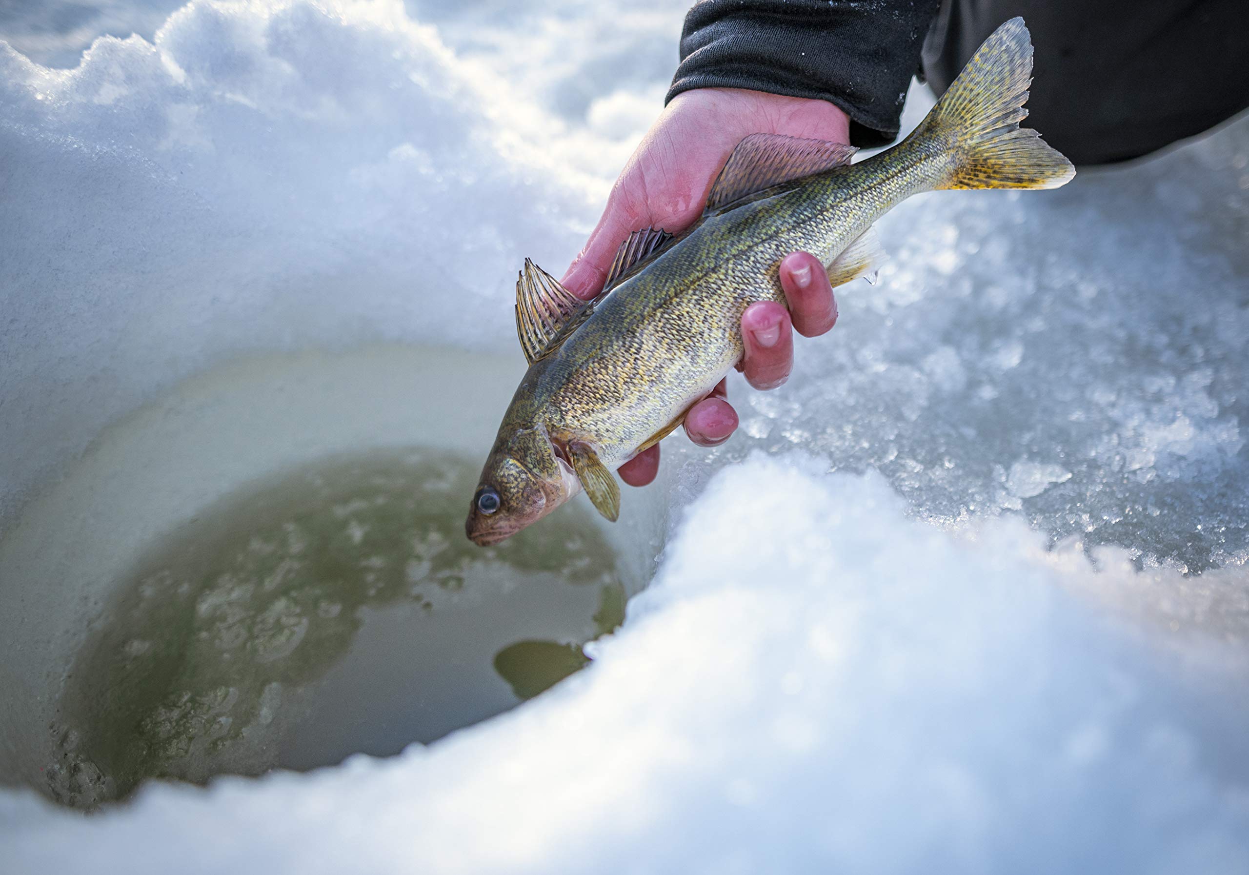 Fenwick World Class Ice Fishing Spinning Rod