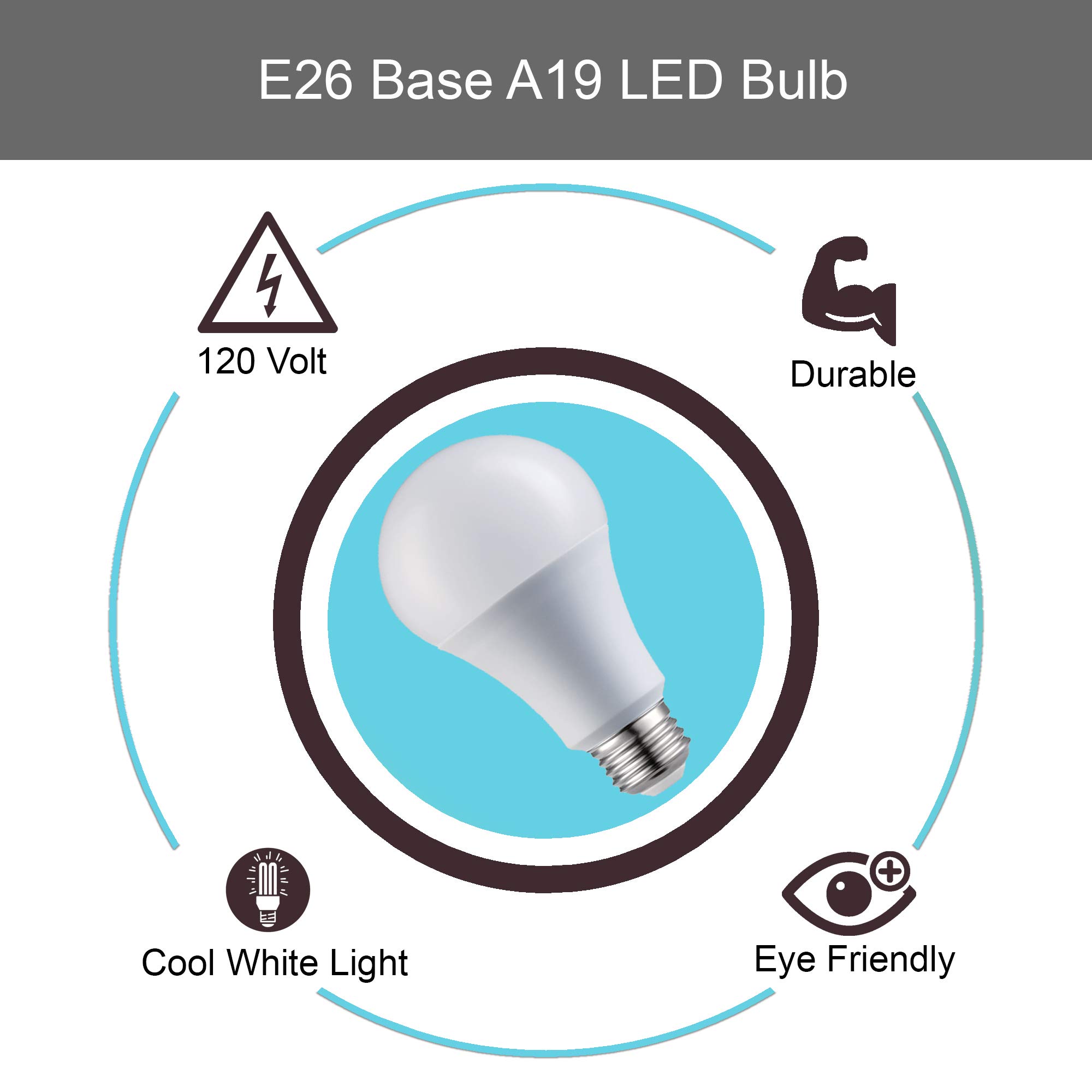 LABORATE LIGHTING A19 LED Light Bulbs - E26 Base, 9W, 800 Lumens, Cool White 4000K Illumination, Energy Saving Outdoor & Indoor Home, Commercial Lighting - 80+ CRI, 10-Year Life - 4-Pack