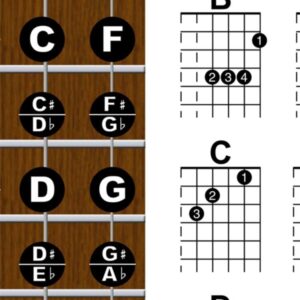 Laminated Guitar Fretboard & Chord Chart - Easy Instructional Poster for Beginner 8.5"x11" | A New Song Music