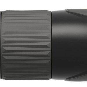 Leupold SX-2 Alpine HD 20-60x60mm Angled Spotting Scope in Shadow Gray Finish