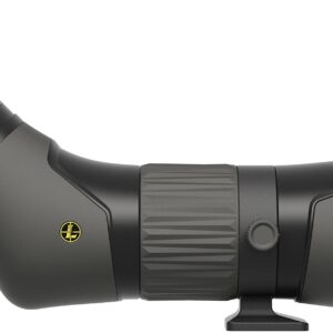 Leupold SX-2 Alpine HD 20-60x60mm Angled Spotting Scope in Shadow Gray Finish