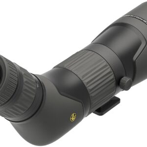 Leupold SX-2 Alpine HD 20-60x60mm Angled Spotting Scope in Shadow Gray Finish