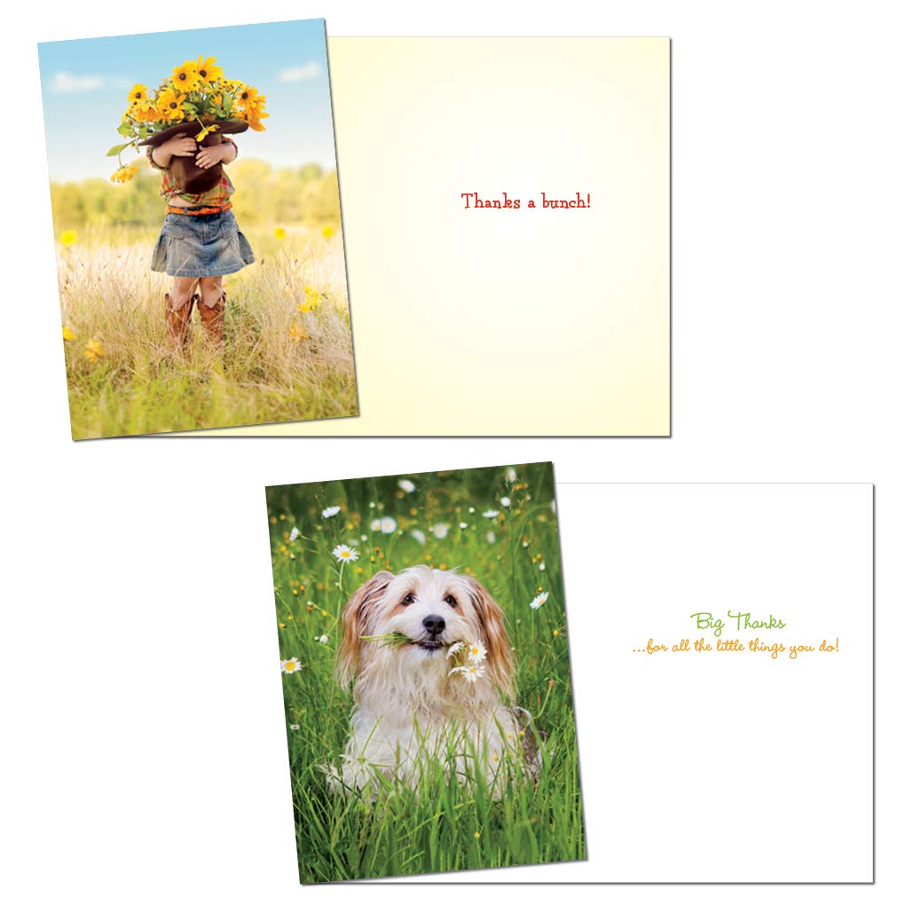 Avanti Press Thank You Greeting Card Variety Pack, 6-Count (32089)