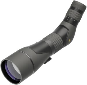 leupold sx-2 alpine hd 20-60x80mm angled spotting scope in shadow gray finish