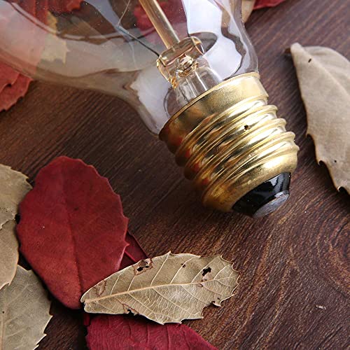 New Lights G25 Globe Edison Bulb, 60W Vintage Round Edison Bulb, Vintage Light Bulb, Old Fashion Dimmable Retro Incandescent Light Bulbs, 2100K Warm White, 240 Lumens,E26, Amber Glass, 4 Pack