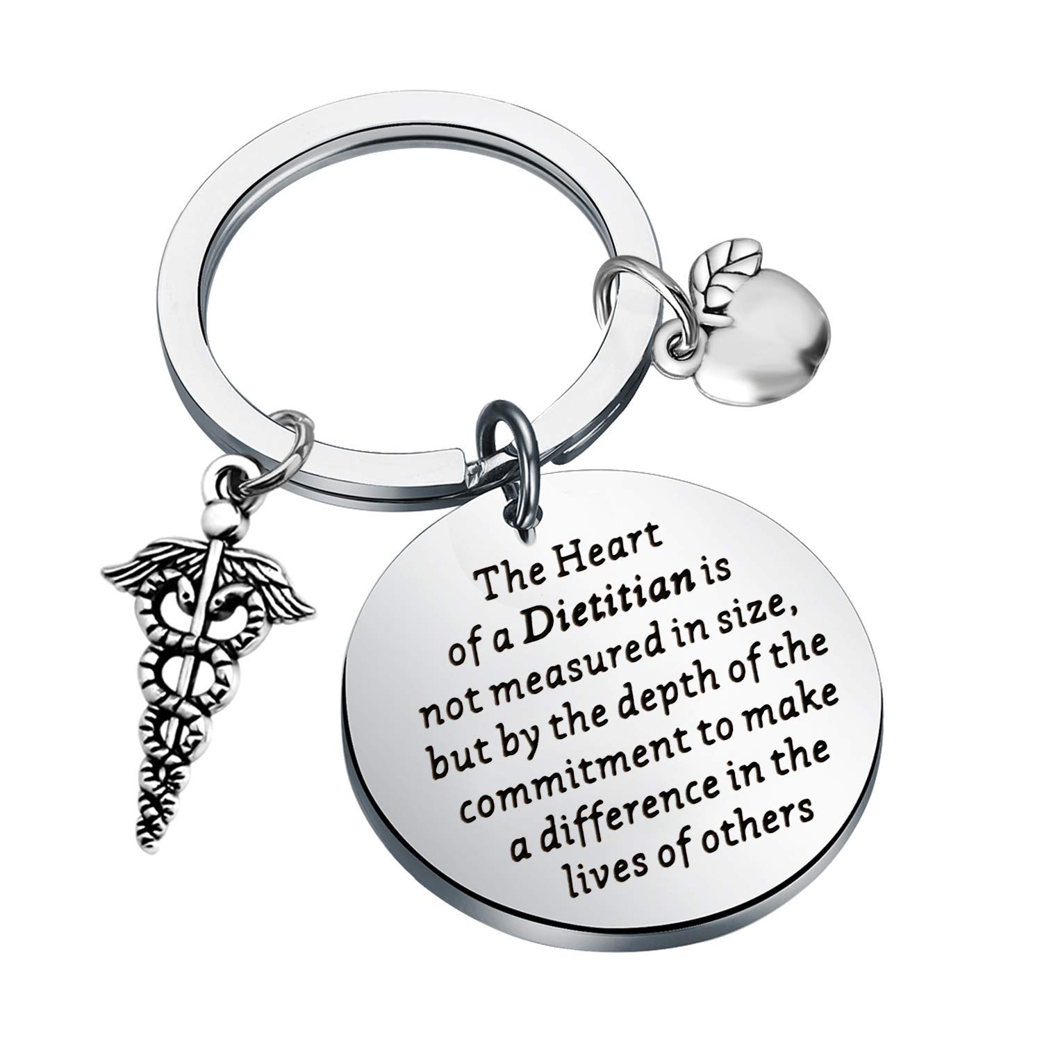 LQRI Dietitian Gift Dietitian Thank You Gift The Heart of A Dietitian Is Not Measured In Size Keychain Nutritionist Gift Registered Dietitian Gift Food Teacher Appreciation Gift (silver)