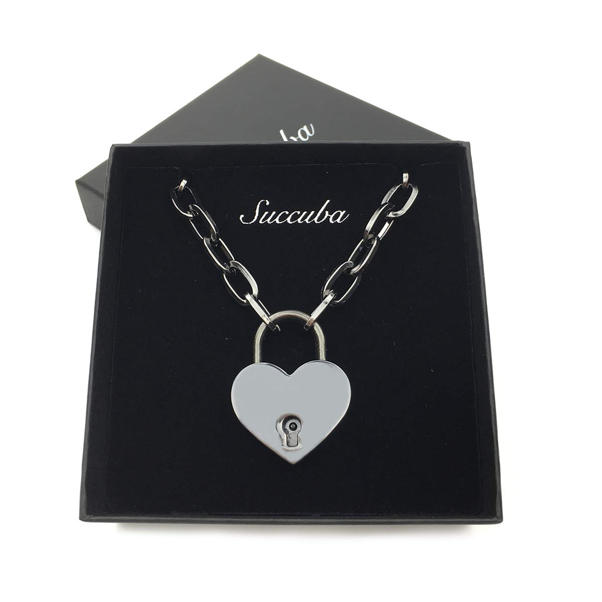 Succuba Padlock Necklace Chain Collar Choker with Two Keys and Box for Women, Men and Pet (G, 16)