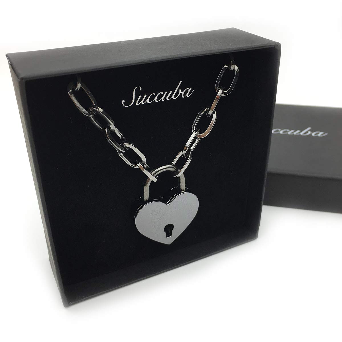 Succuba Padlock Necklace Chain Collar Choker with Two Keys and Box for Women, Men and Pet (G, 16)