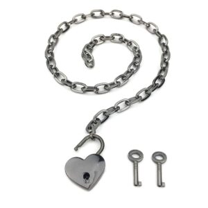 Succuba Padlock Necklace Chain Collar Choker with Two Keys and Box for Women, Men and Pet (G, 16)