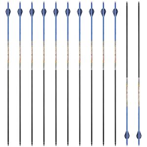 pandarus 30/32" inch st0.006 hunting arrows for compound & recurve bow,100% carbon archery target arrows with removable tips for accurate hunters & bowhunters (pack of 12)-32 inch blue sp300