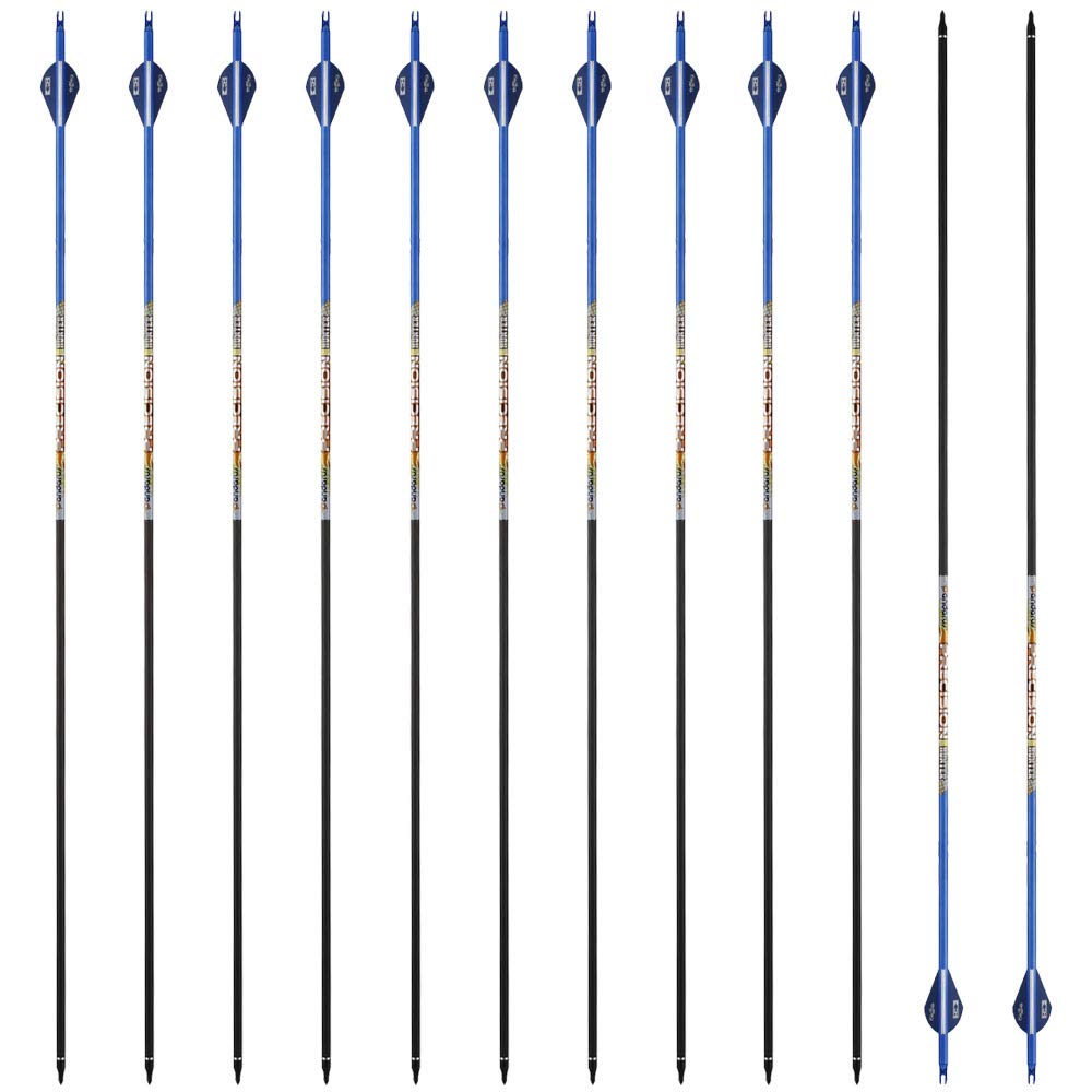 PANDARUS 30/32" Inch ST0.006 Hunting Arrows for Compound & Recurve Bow,100% Carbon Archery Target Arrows with Removable Tips for Accurate Hunters & Bowhunters (Pack of 12)-32 inch Blue SP300