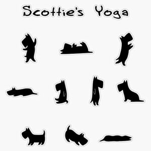 scottie's yoga vinyl waterproof sticker decal car laptop wall window bumper sticker 5"