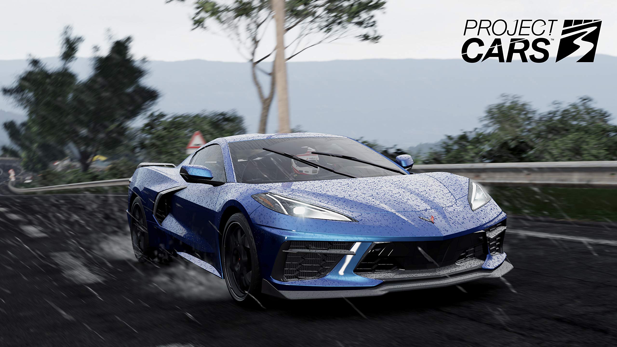 Project Cars 3 (PS4)