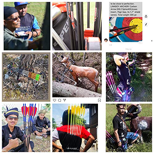 Linkboy Archery Pure Carbon Arrows Spine 300 340 400 500 600 700 800 for Compound Recurve Bow Hunting Shooting Target 12pcs (spine 400 30inch)