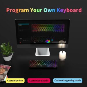 NACODEX 68 Key 65% Hot swappable Mechanical Keyboard, 2.4G Wireless/Bluetooth/Wired RGB Backlit Keyboard, 1900mAh Programmable Keyboard for Win/Mac/Gaming