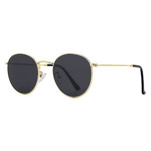 Gleyemor Classic Polarized Round Sunglasses for Women Men, Trendy Metal Frame Shades (Gold/Grey)