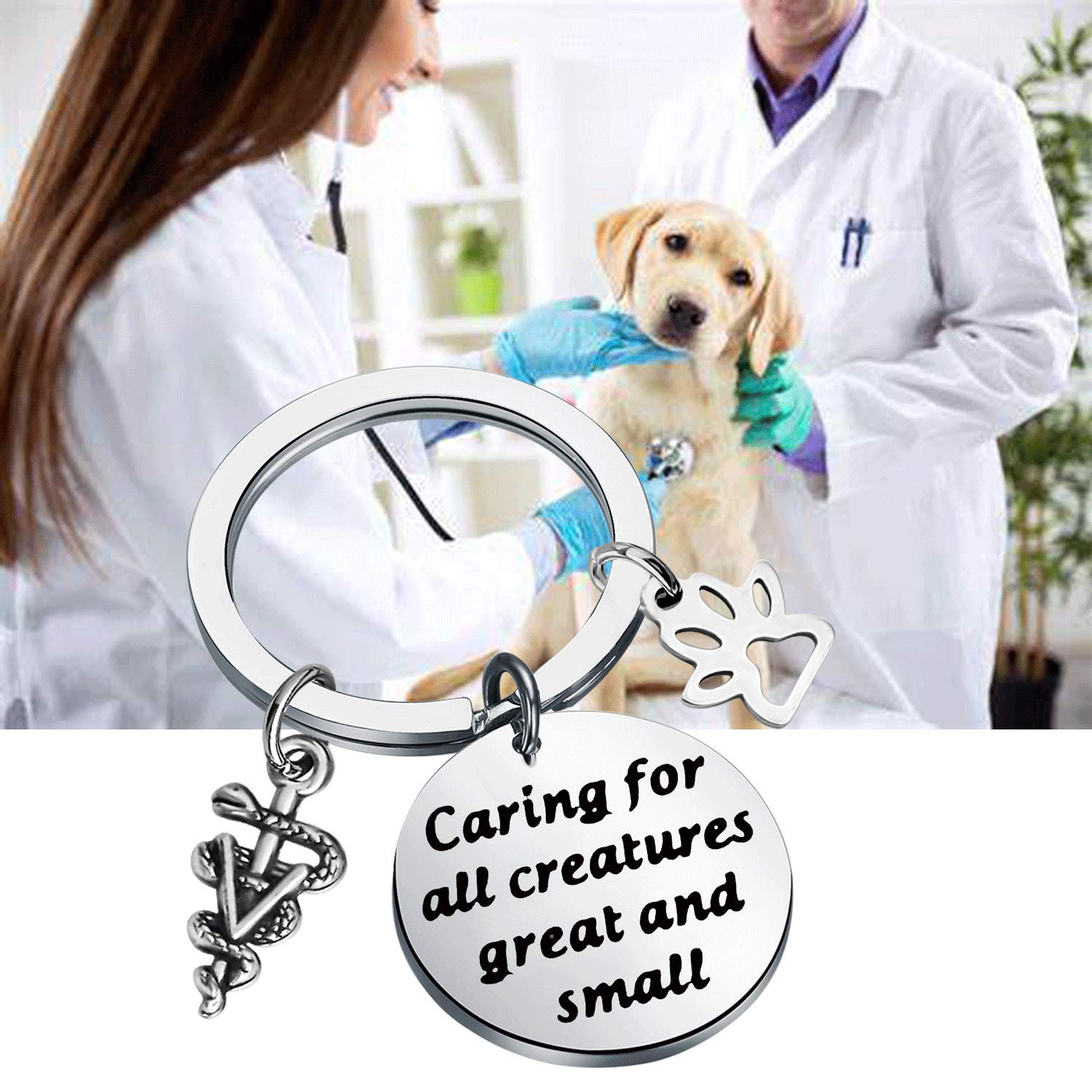 WSNANG Veterinarian Jewelry Caring For All Creatures Great And Small Keychain Veterinary Technician Gifts Vet Tech Jewelry Veterinarian Graduation Gifts (Veterinarian Keychain)