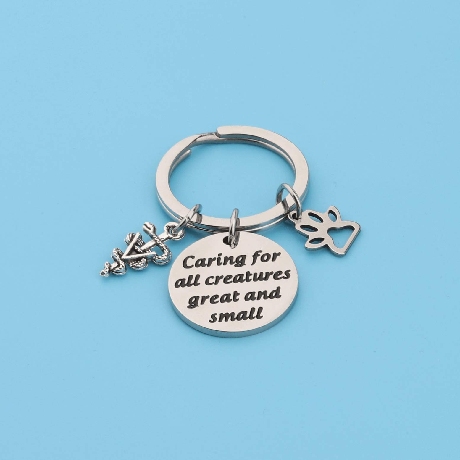 WSNANG Veterinarian Jewelry Caring For All Creatures Great And Small Keychain Veterinary Technician Gifts Vet Tech Jewelry Veterinarian Graduation Gifts (Veterinarian Keychain)