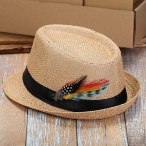 FALETO Hat Feathers 12 Pcs Assorted Natural Feather Packs Accessories for Hats & Fedoras