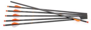 centerpoint archery cp400 select 400-grain 20-inch carbon arrows axcca20tpk, pack of 6