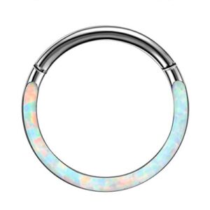 jewseen g23 solid titanium hinged segment hoop rings white opal daith earring hoop 16g tragus helix rings cartilage piercing septum clicker body jewelry