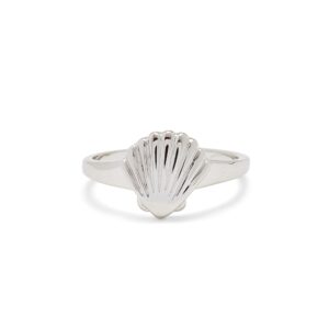 pura vida silver shell signet ring - brass base band, rhodium plating - size 8