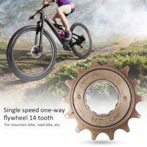 T best Single Speed Freewheel, Bike Freewheel Sprocket Gear 14T Single Speed Flywheel for Mountain Road Folding Single Speed Conversion Kit Single Speed Freewheel