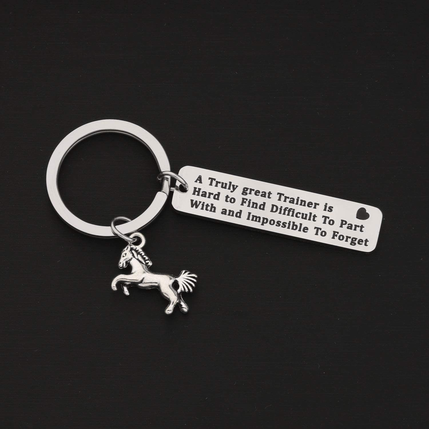 ENSIANTH Horse Trainer Gift Horse Trainer Appreciation Gift Leaving Gift for Horse Trainer Retirement Gift for Horse Trainer (Horse Trainer Keychain)