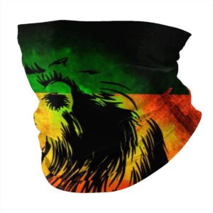 african flag the lion of judah rasta rastafari jamaica versatile multifunction headwear neck gaiter balaclava helmet liner riding face cover for kids women men outdoors uv protection