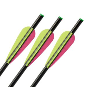 TOPARCHERY 12pcs Crossbow Bolts 20 inch Hunting Archery Fiberglass Arrow Crossbow Bolts Arrow with 3 inch Vanes and Replaced Arrowhead/Tip