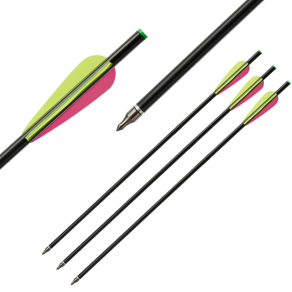 TOPARCHERY 12pcs Crossbow Bolts 20 inch Hunting Archery Fiberglass Arrow Crossbow Bolts Arrow with 3 inch Vanes and Replaced Arrowhead/Tip