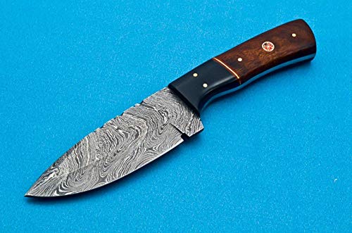 EEAABBR Coustom Handmade Forged Damascus Steel Hunting Knife 100% Handmade Damascus Steel Handle Walnut Wood with Leather Sheath 894