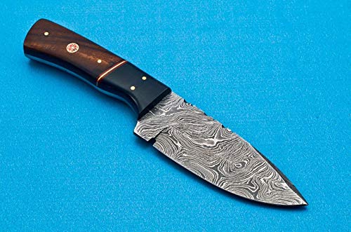 EEAABBR Coustom Handmade Forged Damascus Steel Hunting Knife 100% Handmade Damascus Steel Handle Walnut Wood with Leather Sheath 894