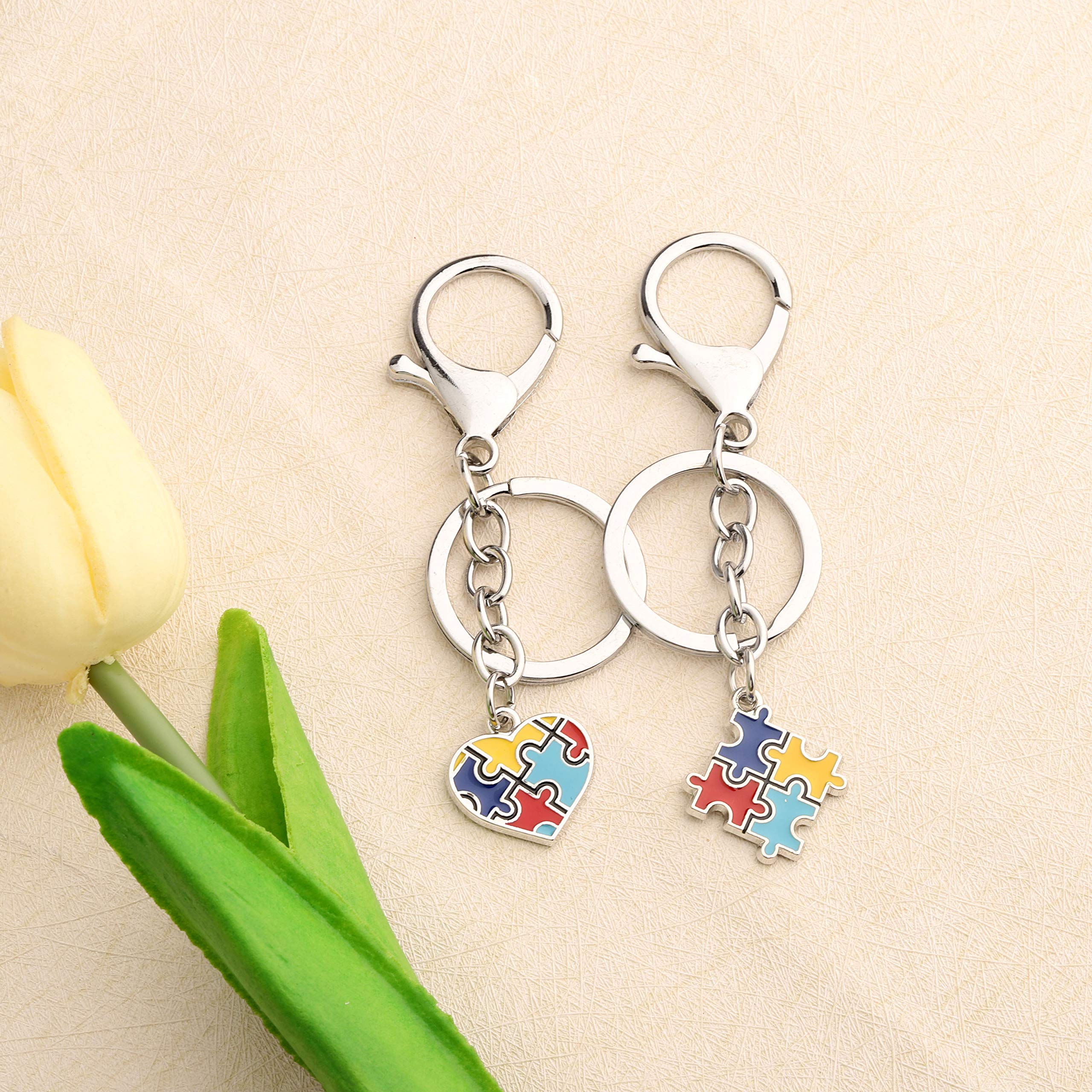 FUSTMW Autism Awareness Keychain Gifts for Autistic Colorful Puzzle Piece Key Ring Set of 2 (Autism Awareness Keychain Set)