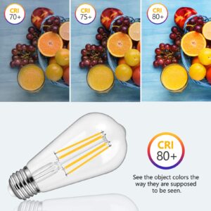 6-Pack 8W Dimmable Edison LED Light Bulbs 100W Equivalent, Vintage ST64/ST21 LED Filament Bulbs with 1000LM, 3000K Soft Warm White Lighting, E26 Medium Base Clear Glass for Home, Office, Restaurant