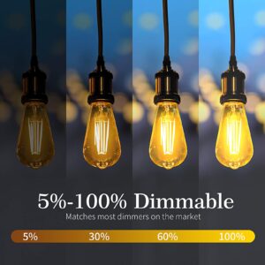 6-Pack 8W Dimmable Edison LED Light Bulbs 100W Equivalent, Vintage ST64/ST21 LED Filament Bulbs with 1000LM, 3000K Soft Warm White Lighting, E26 Medium Base Clear Glass for Home, Office, Restaurant