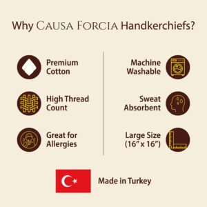 Causa Forcia Cotton Handkerchiefs for Men Thick Soft Turkish White Cotton, 12 Pack