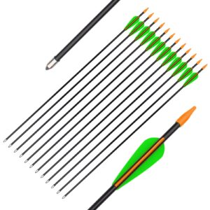 AICHROAD Practice Arrows 24 26 28Inch Targeting Arrow Shooting for Recurve Bows Compoundbow Youth Kids Beginner 28inch 12pcs