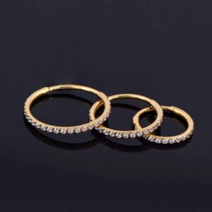 OUFER Gold Hinged Segment Earring Hoop 20G Stainless Steel with Cartilage Earrings Clear CZ Paved Tragus Helix Earrings Cartilage Earring Septum Nose Ring Hoop