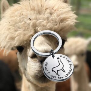 Llama Keychain Never Forget How Llamazing You are Keychain Alpaca jewelry Animal Lover Gift (Llama Keychain)