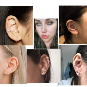 OUFER Gold Hinged Segment Earring Hoop 20G Stainless Steel with Cartilage Earrings Clear CZ Paved Tragus Helix Earrings Cartilage Earring Septum Nose Ring Hoop