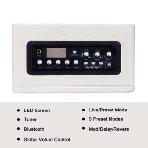 MOOER Guitar Amplifier Combo 15W, Practice Electric Guitar Amp with 9 Digital Amp Models, 6.5" Speaker, Bluetooth, Headphone Output, for Electric Guitar, Acoustic Guitar and Bass