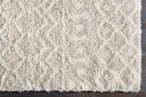 Livabliss Hapsburg Moroccan Shag Area Rug,12' x 15',Beige