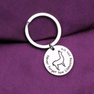 Llama Keychain Never Forget How Llamazing You are Keychain Alpaca jewelry Animal Lover Gift (Llama Keychain)