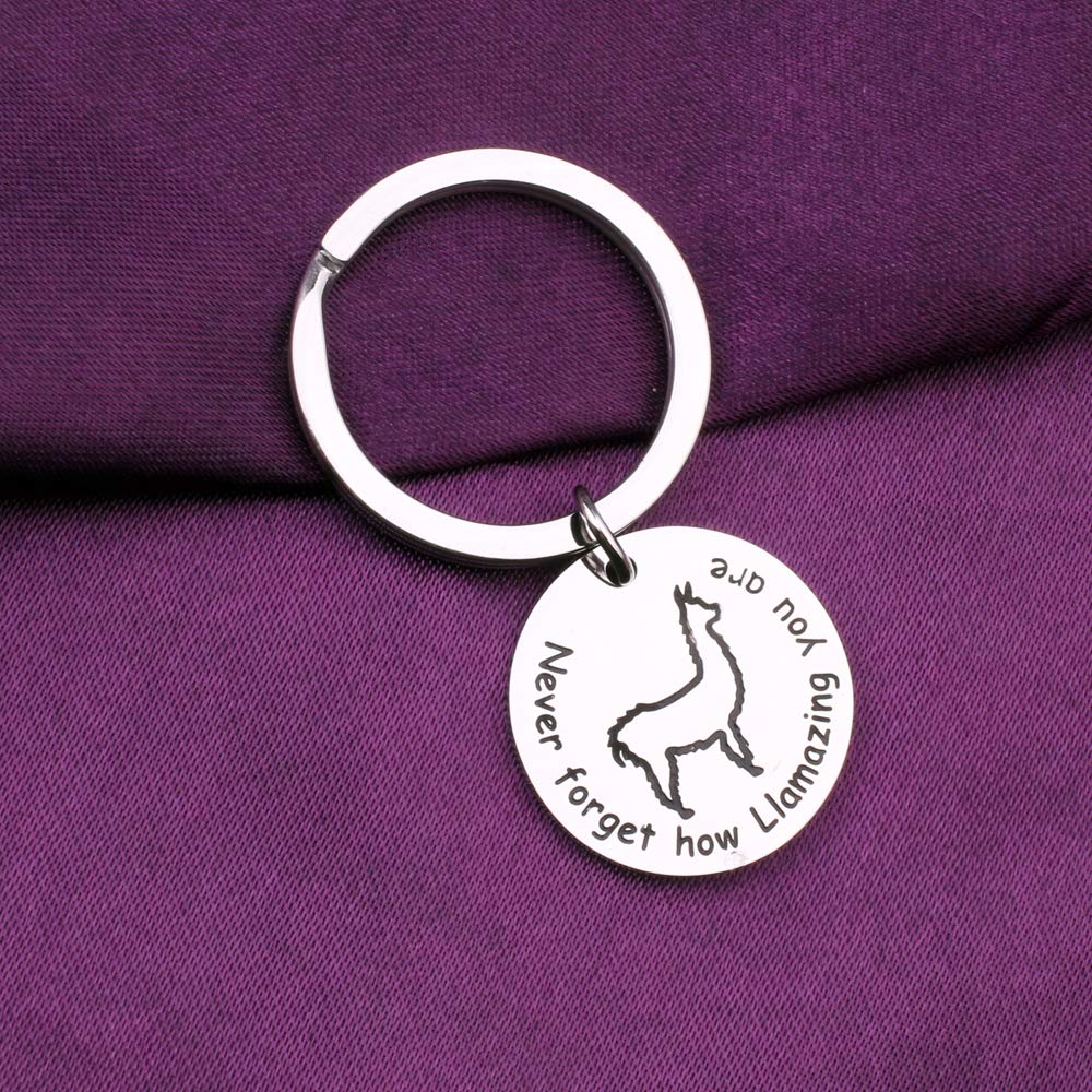 Llama Keychain Never Forget How Llamazing You are Keychain Alpaca jewelry Animal Lover Gift (Llama Keychain)