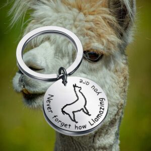 Llama Keychain Never Forget How Llamazing You are Keychain Alpaca jewelry Animal Lover Gift (Llama Keychain)