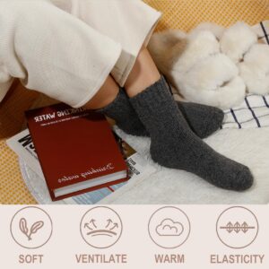 iCamter Womens Wool Socks Soft Super Thick Warm Socks for Women Thermal Winter Socks for Gifts