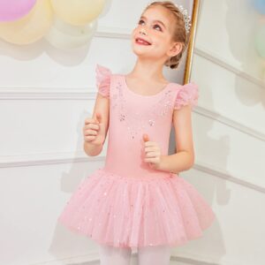 Zaclotre Kid Girls Ruffle Sleeve Ballet Skirted Leotard Shiny Dance Tutu Dresses