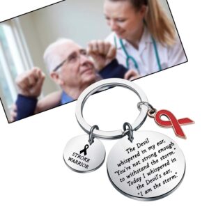 FUSTMW Stroke Awareness Keychain Stroke Warrior Gifts I Am The Storm Stroke Survivor Jewelry Recovery Gifts Red Ribbon Cancer Inspirational Gifts (silver)